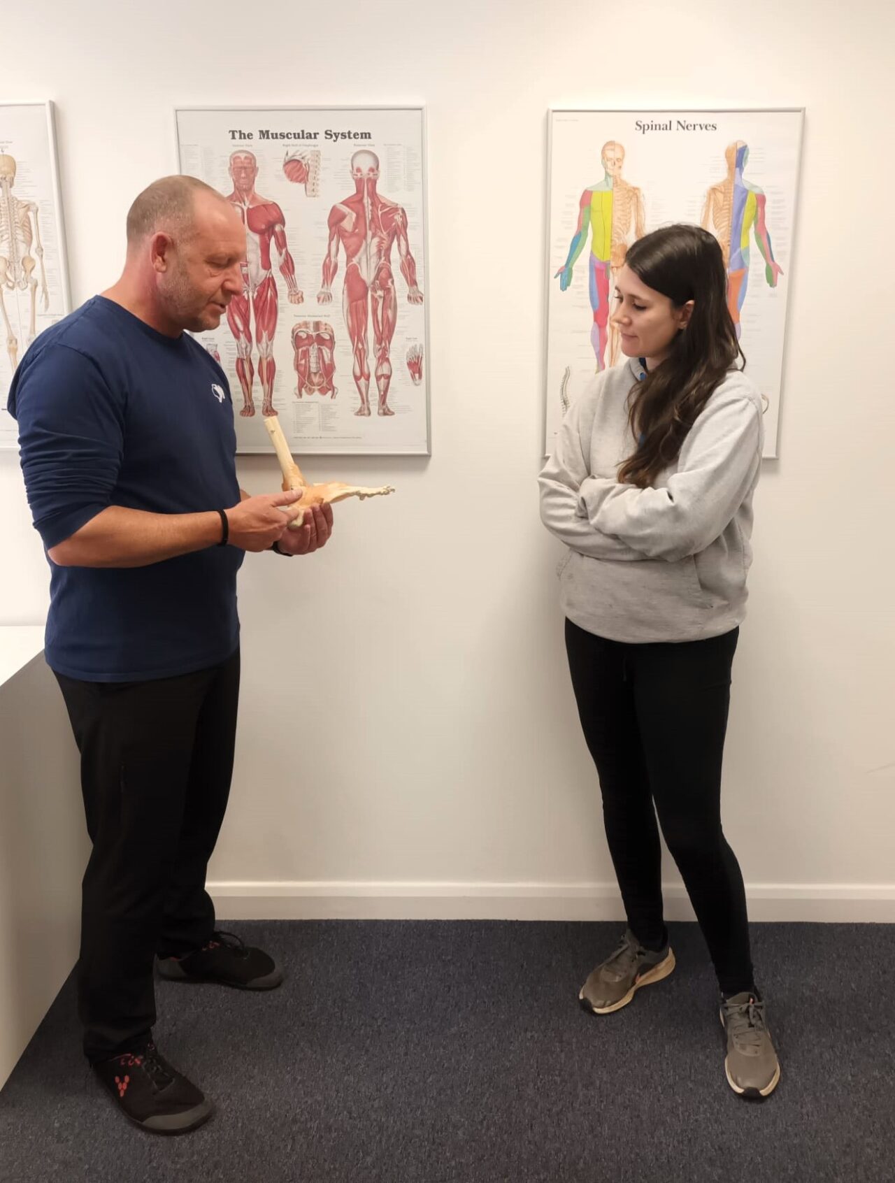 Level 3 And 4 Sports Massage Optimal Movement